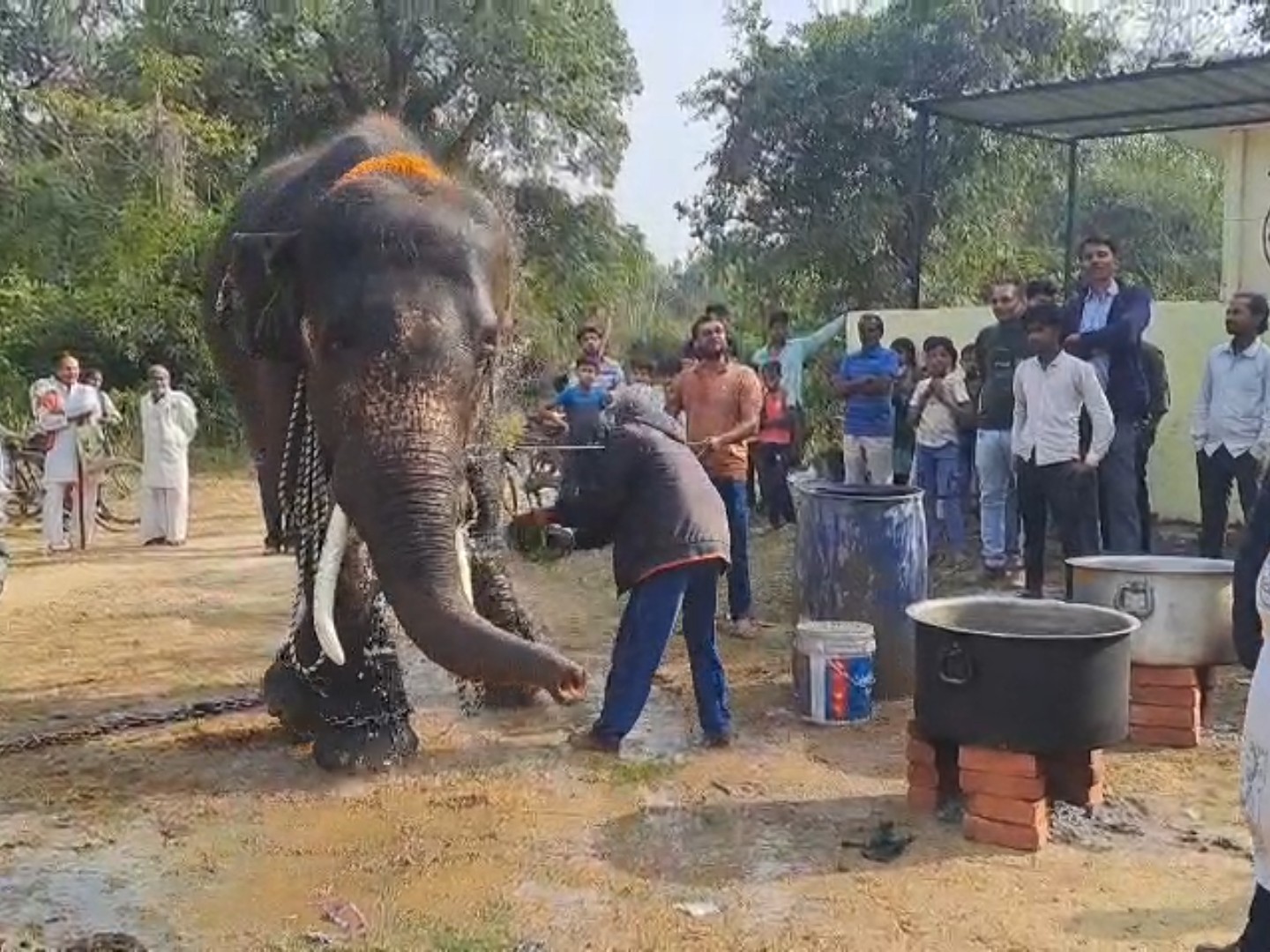 Pratapgarh BJP Leader Gifts Elephant Jatra Singh From Arunachal Pradesh