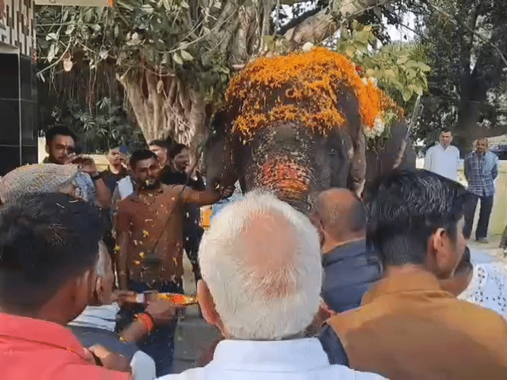 Pratapgarh BJP Leader Gifts Elephant Jatra Singh From Arunachal Pradesh