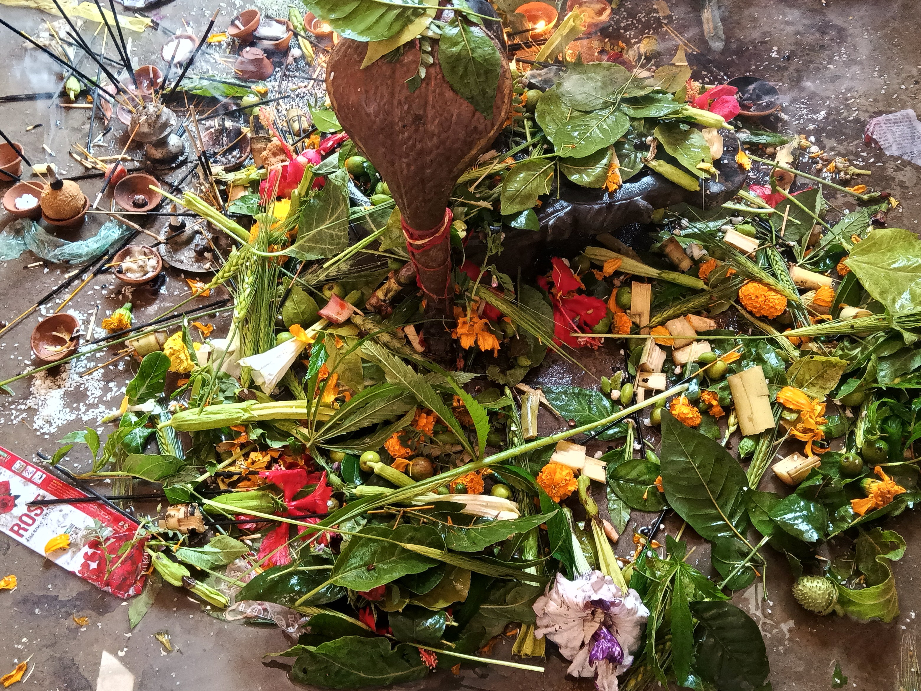 Sevapuri Mahashivratri: Devotees Offer Jalabhishek, Bol Bam Chants Fill ...