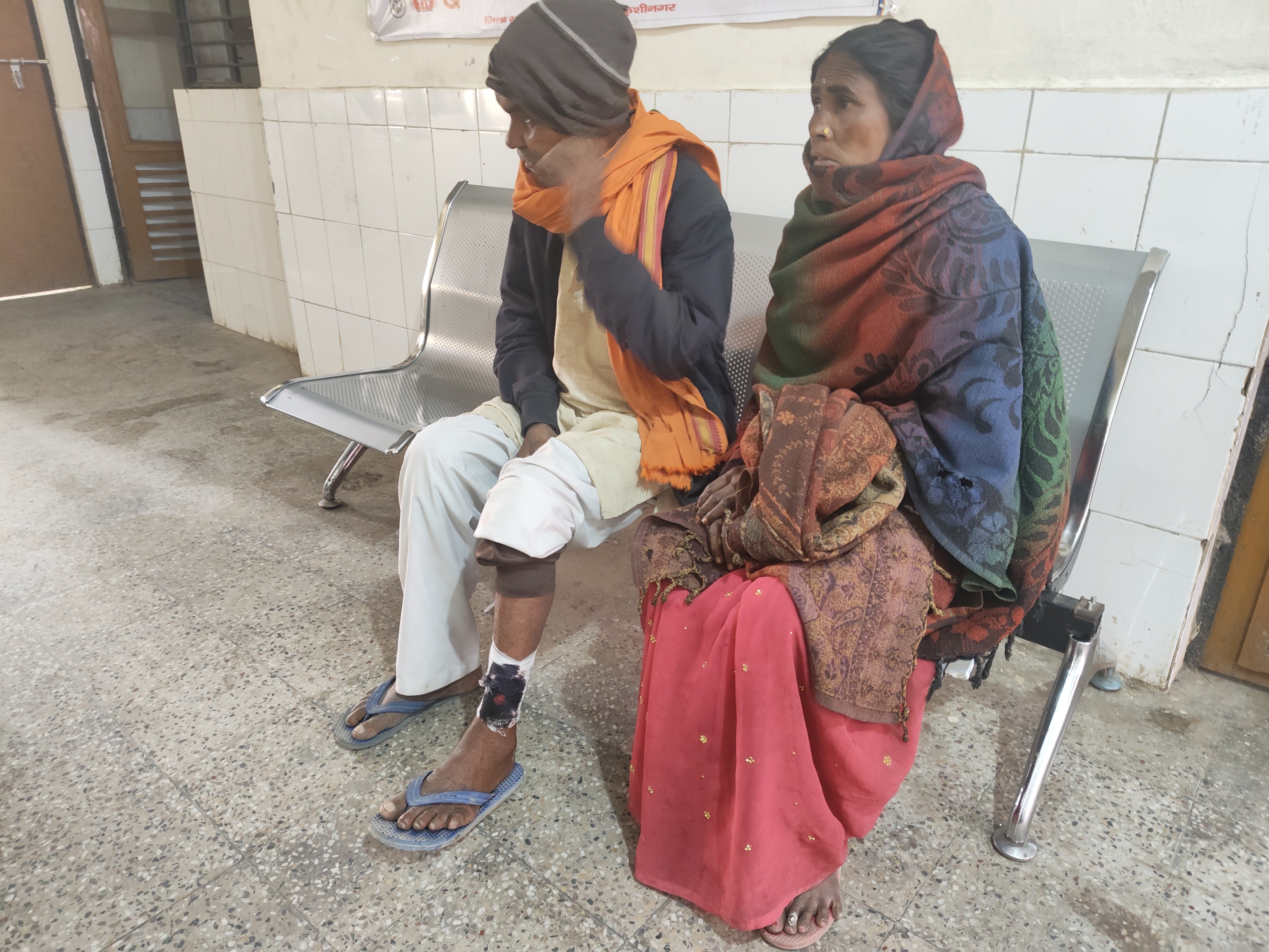 Mathiya Village Dog Attack | 4 Injured In Rabies Scare