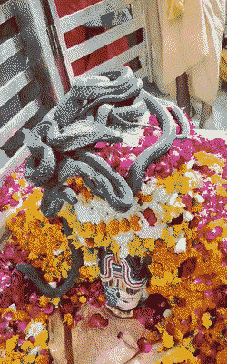 Kanpur Shivling Snake Decoration | Ancient Beliefs