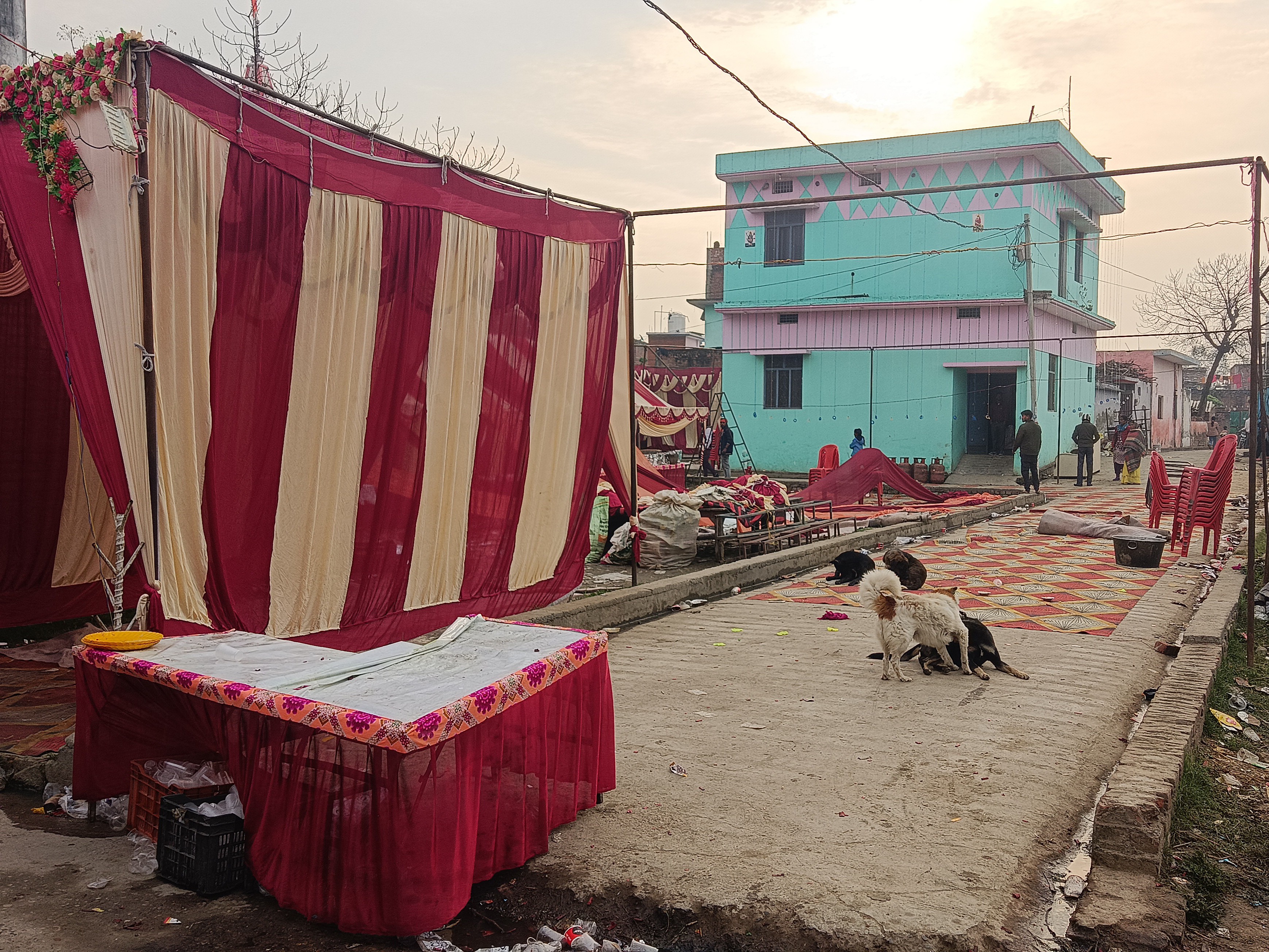 Bilaspur Baraat Fight: DJ Song Dispute Leads to Police Intervention