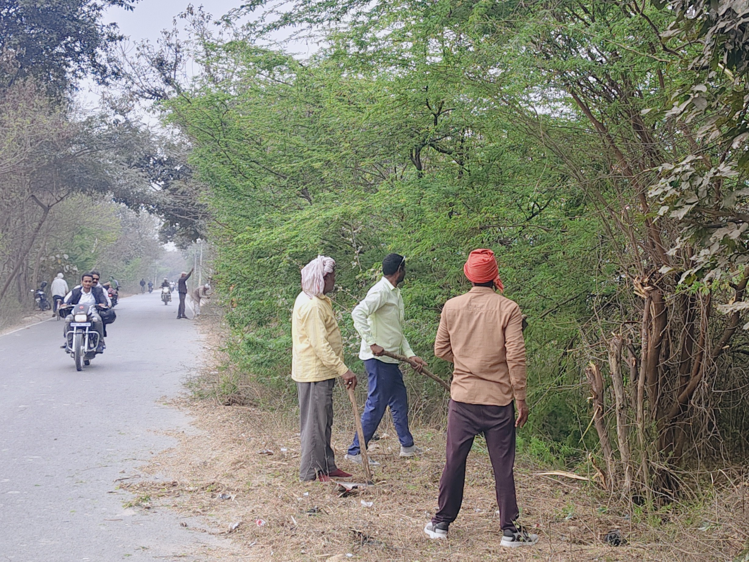 Mirzahajipura-Sultanipur Road Bush Cleaning Starts | Dainik Bhaskar Impact