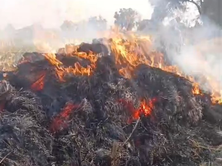 Khidirpur Fire | Thousands Rupees Property Loss, Puar & Wheat Crop Burns