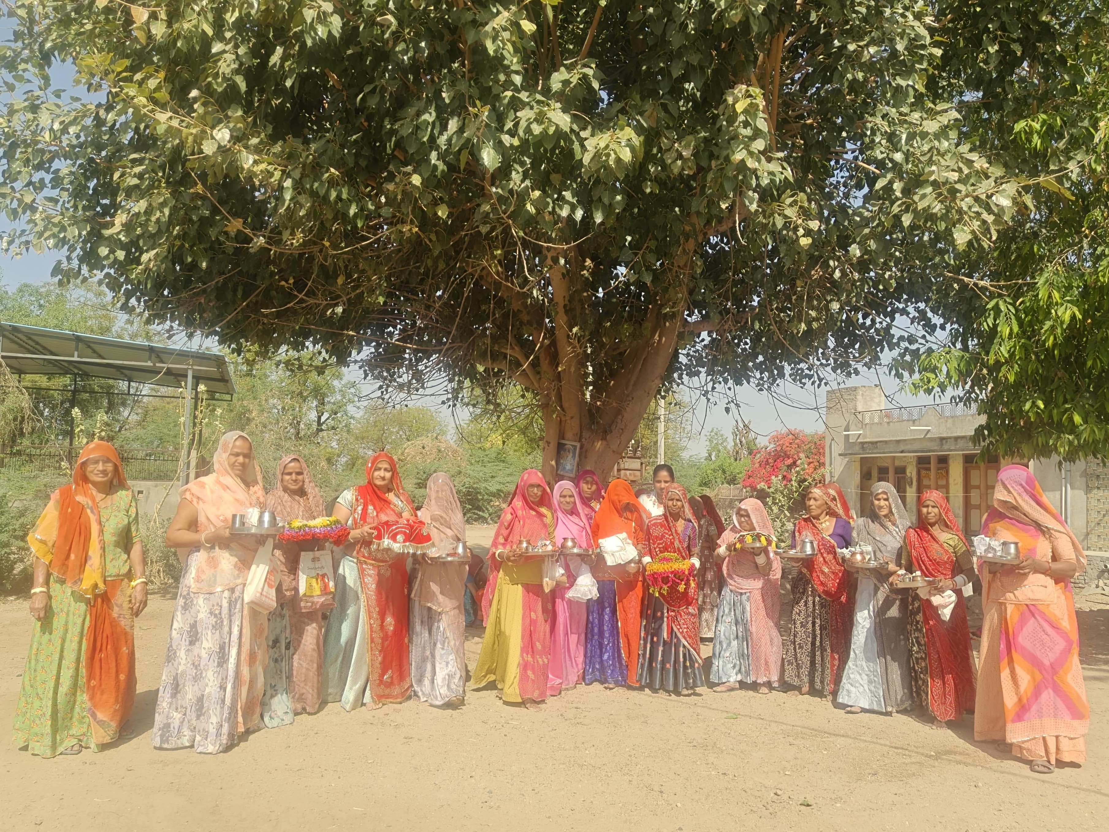 Somesar Women Worship Peepal Tree for Prosperity | Dasa Dashmi Festival