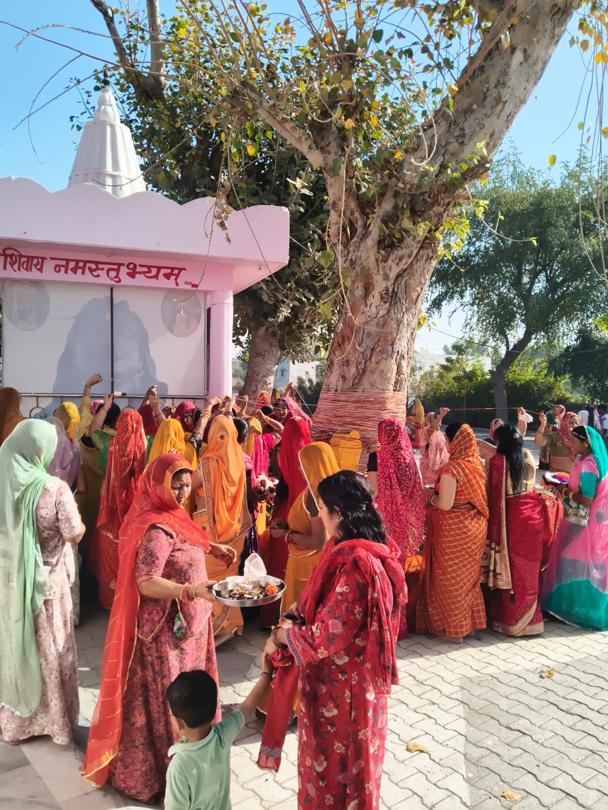 She tied a string of 10 knots of the peepal tree and circumambulated it ...