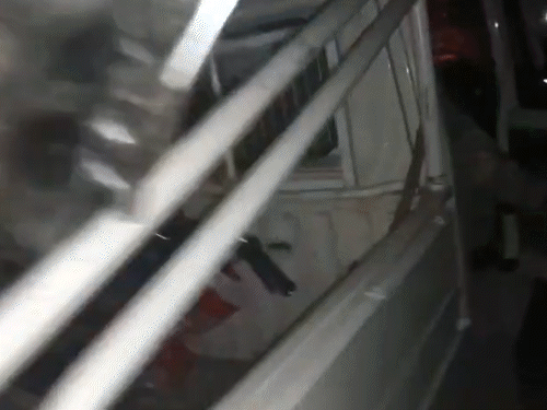 Murena Neelgai Meat Smuggler Arrested | Bihar Border Supply
