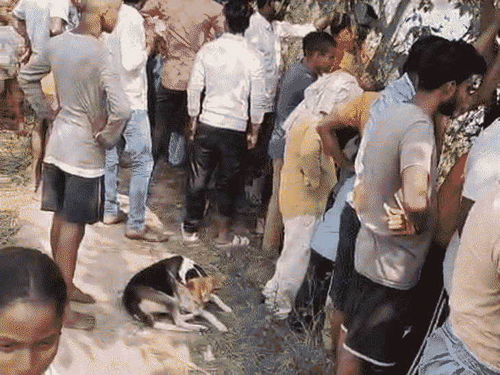 Bahraich Raiganj Accident: Teen Drowns in Bhaghar Nala, Search Underway