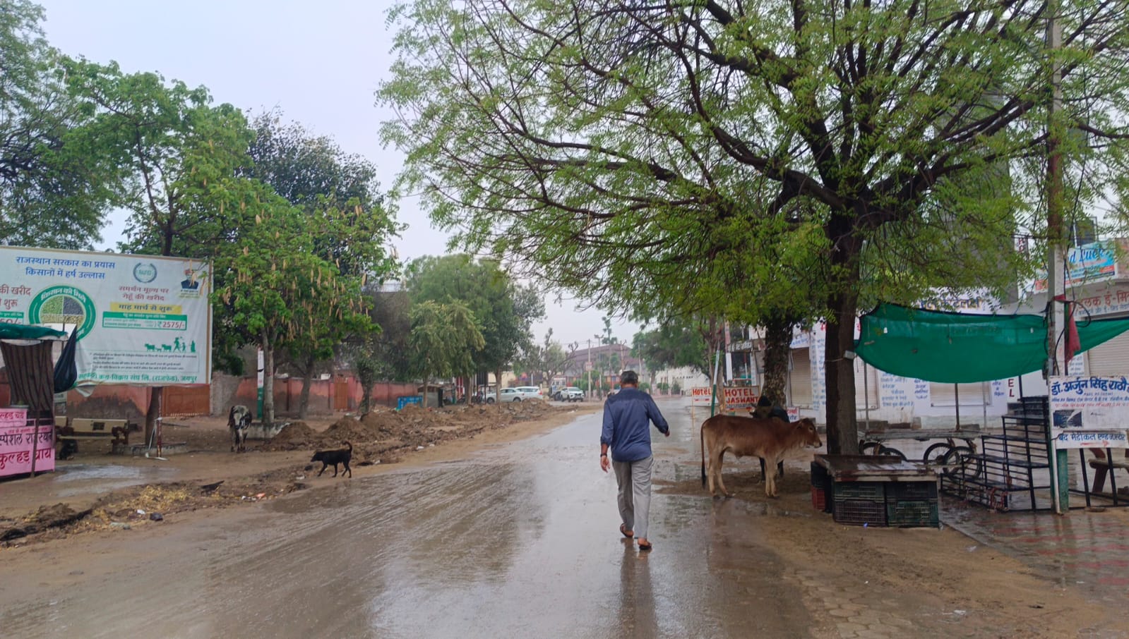 Bikaner Rain Alert: Today & Tomorrow Forecast, Cold Weather Returns