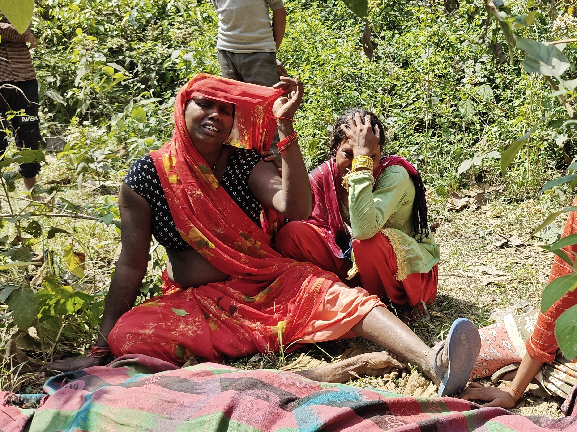 Bahraich Elephant Attack: Elderly Woman Trampled to Death While Grazing Goats