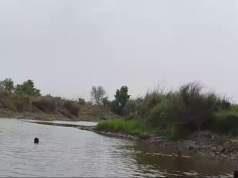 Kasganj Minor Girl Missing | Police Search Forest, Pit