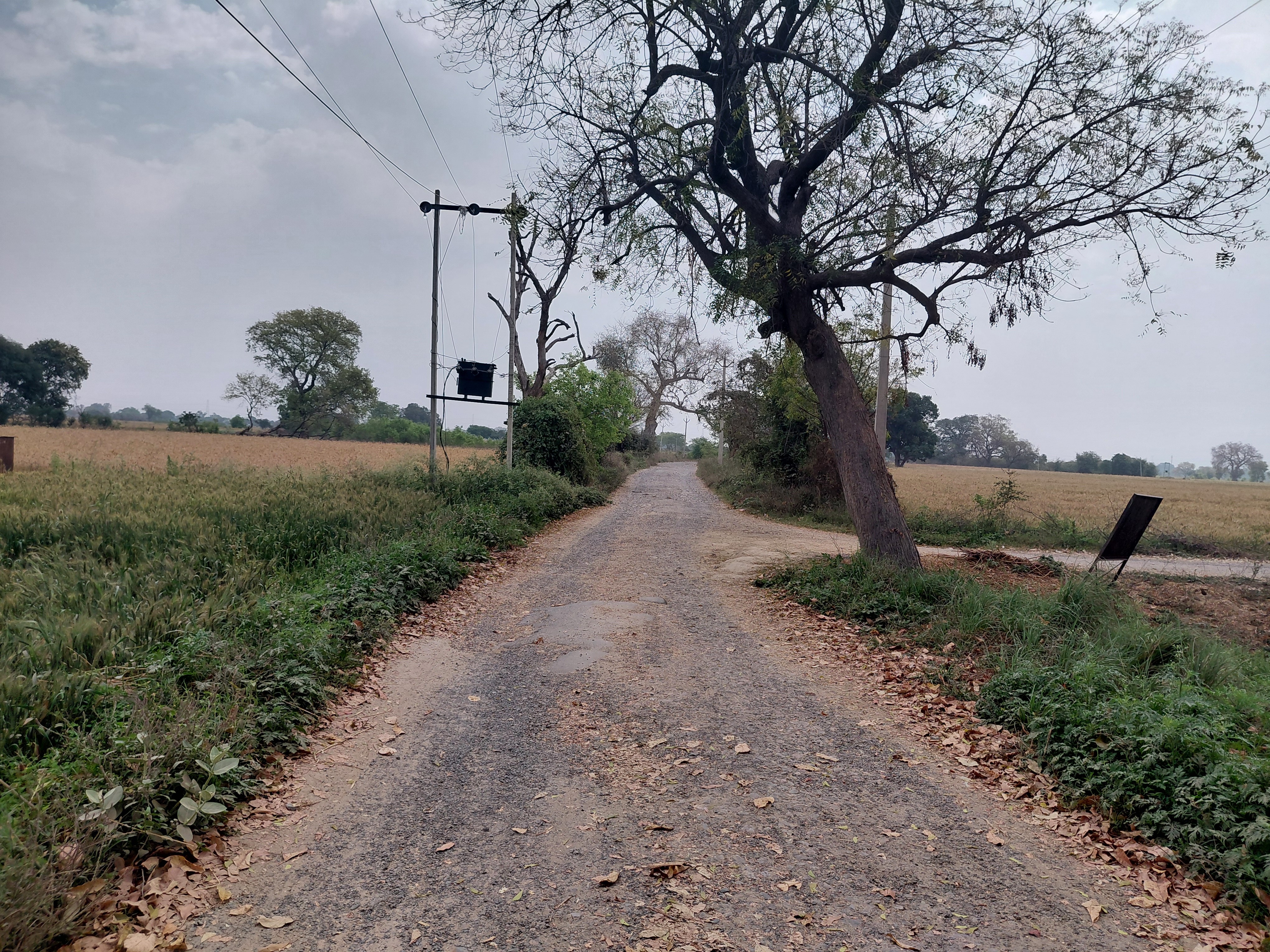 Rampura Bad Road | Village Injury, Vehicle Damage; 20 Years No Repair