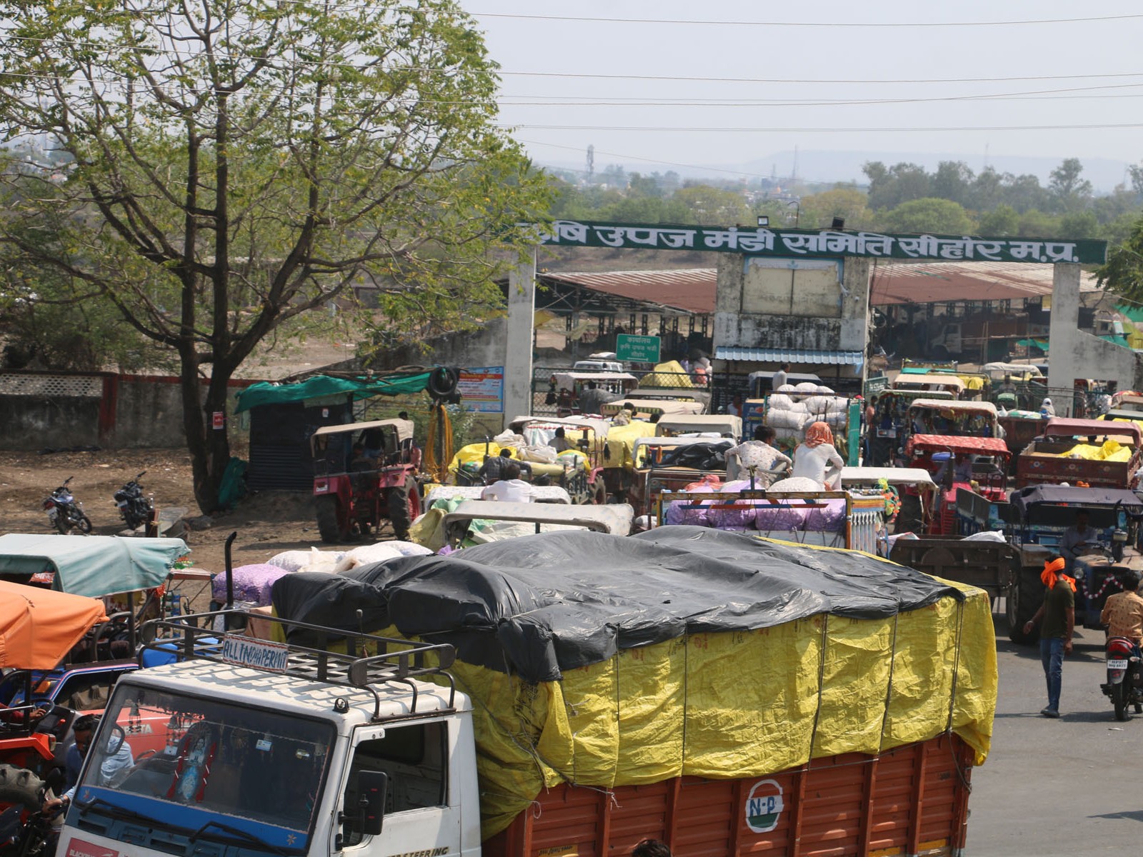Sehore Collector Issues Strict Orders Against Illegal Wheat Transport