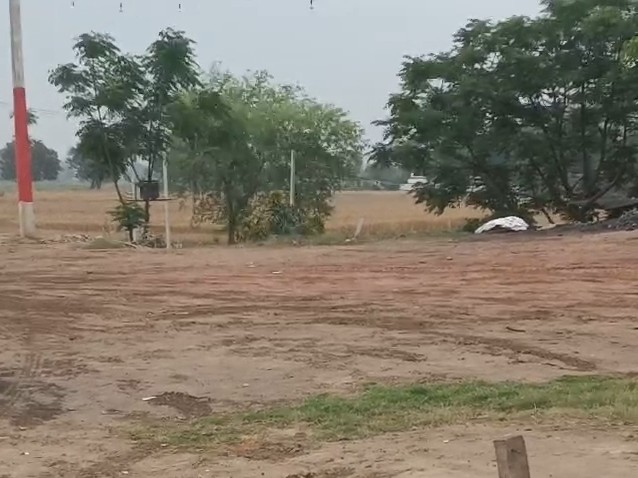 Amritpur Gehun Fasla Damage | Barish Chinta Farmers