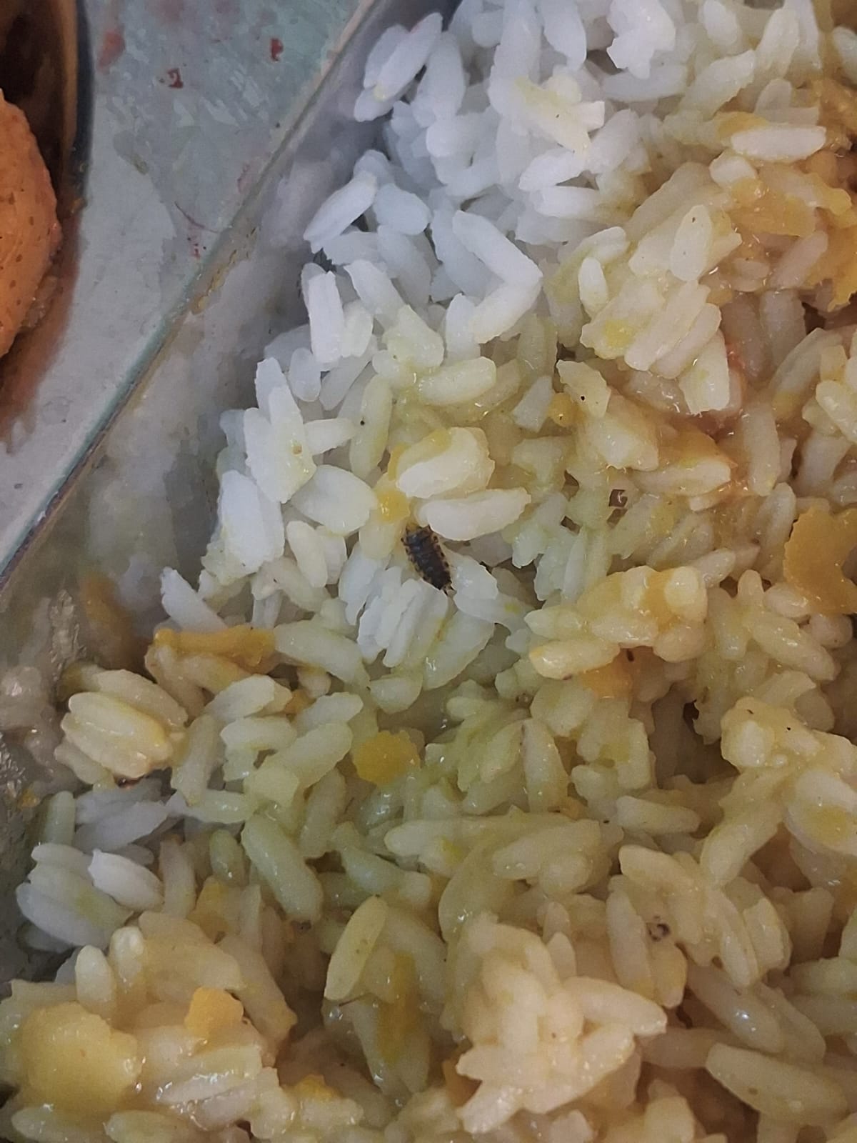 Teachers at CTE Chapra are getting food infested with insects.