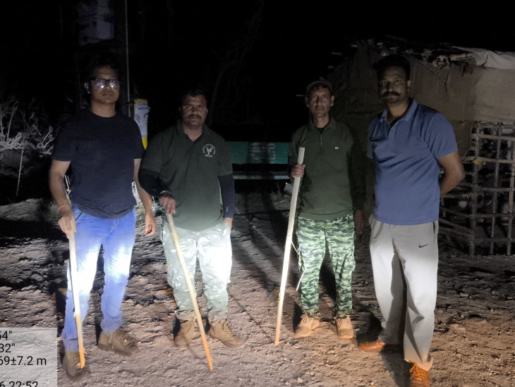 Tiger Attack in Almora: Man Killed in Salt Region, Fear Grips Locals