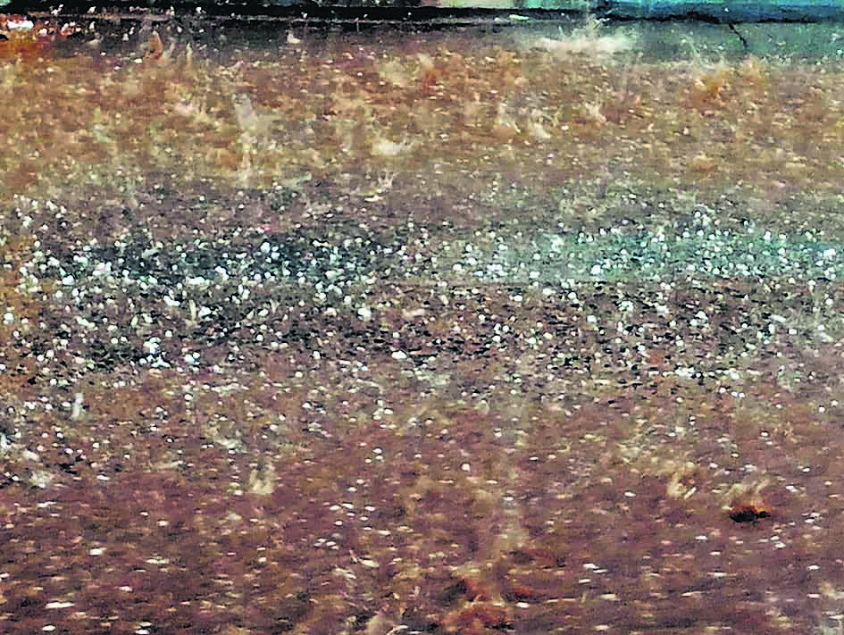 Rain in many places, plum-sized hail fell in Buhana