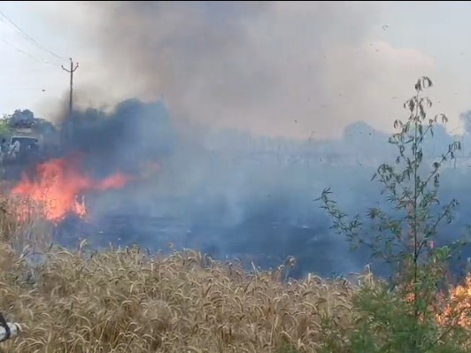 Malav Village Wheat Field Fire | Villagers Fight Flames With Own Resources