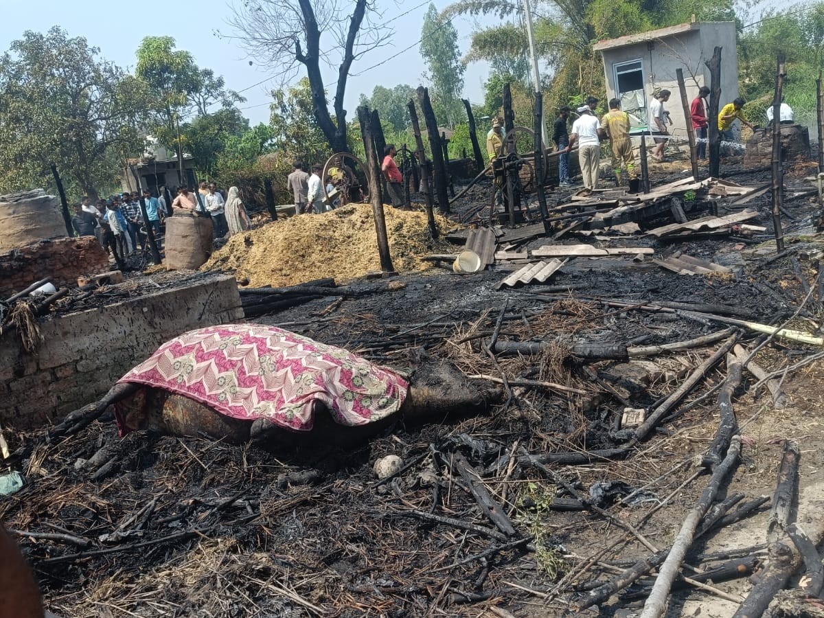 Gonda Fire: 5 Houses Gutted, Cattle Killed; Lakhs in Damage