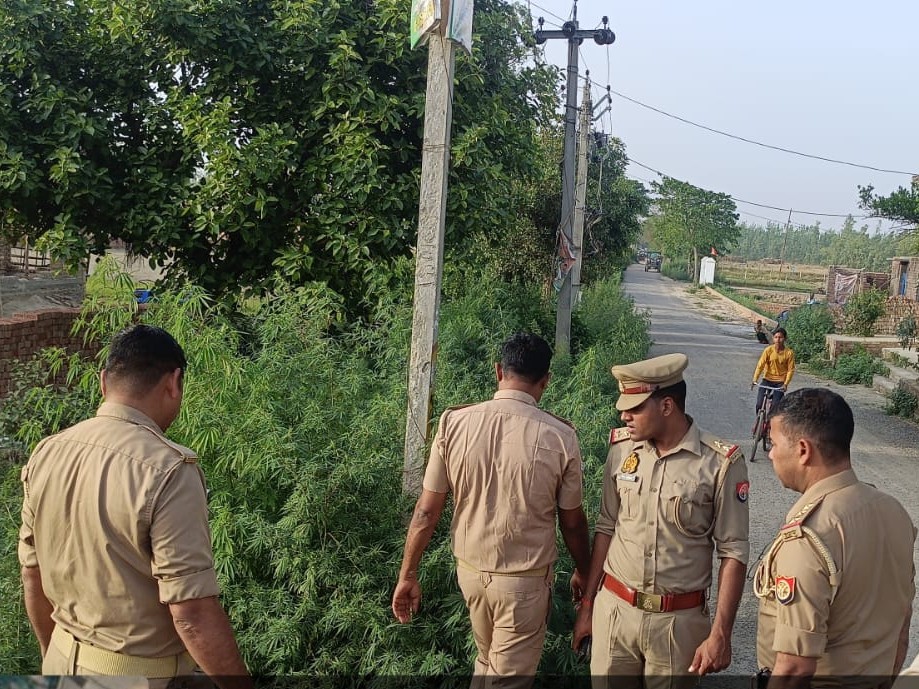 Bhuta Road Safety Drive | Police Inspect Accident Spots