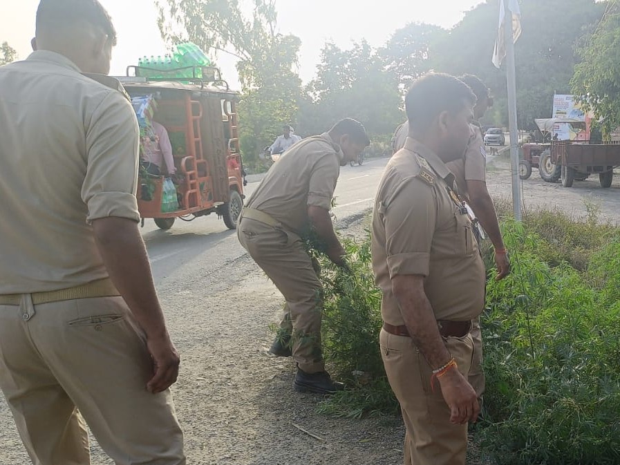 Bhuta Road Safety Drive | Police Inspect Accident Spots