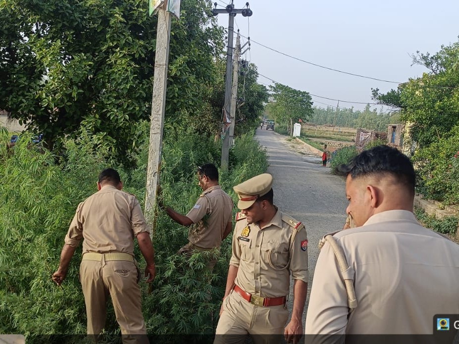Bhuta Road Safety Drive | Police Inspect Accident Spots