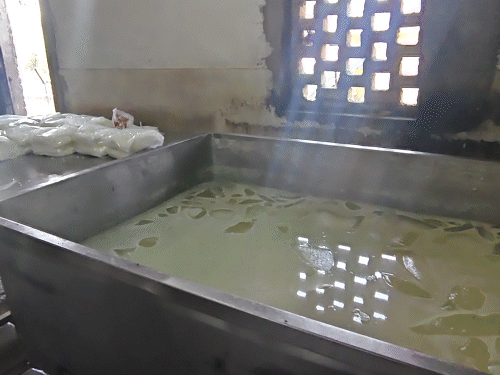 Raipur Paneer Factory Raid | Food Dept Samples Collected, Action Pending