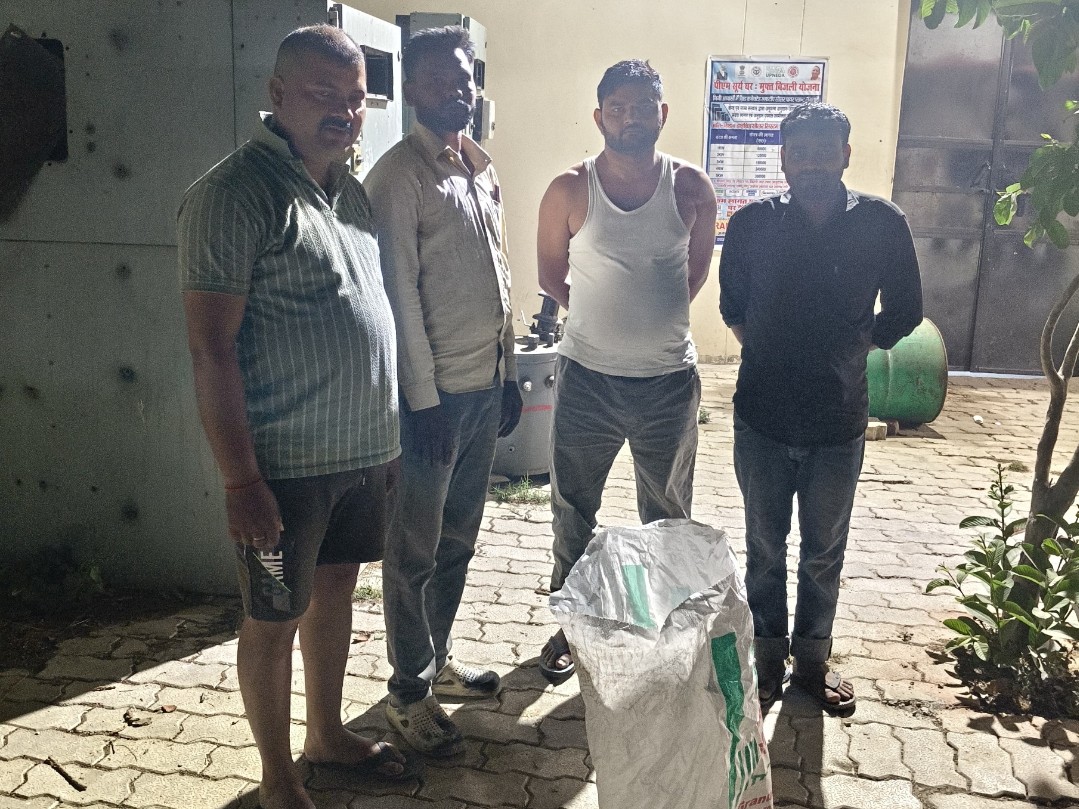 Sultanpur Python Found at Power Substation | Forest Dept Releases