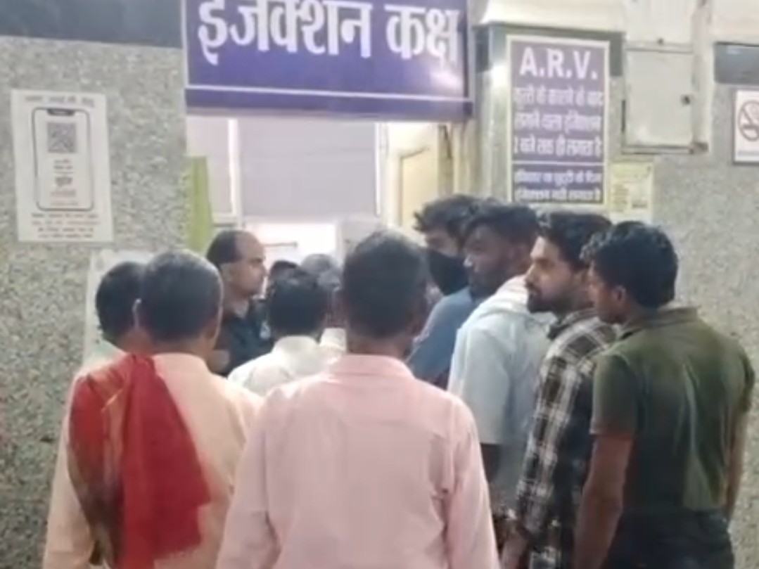 Satna Dog Bites 40; Hospital Rush for Anti-Rabies | Manawar Panic