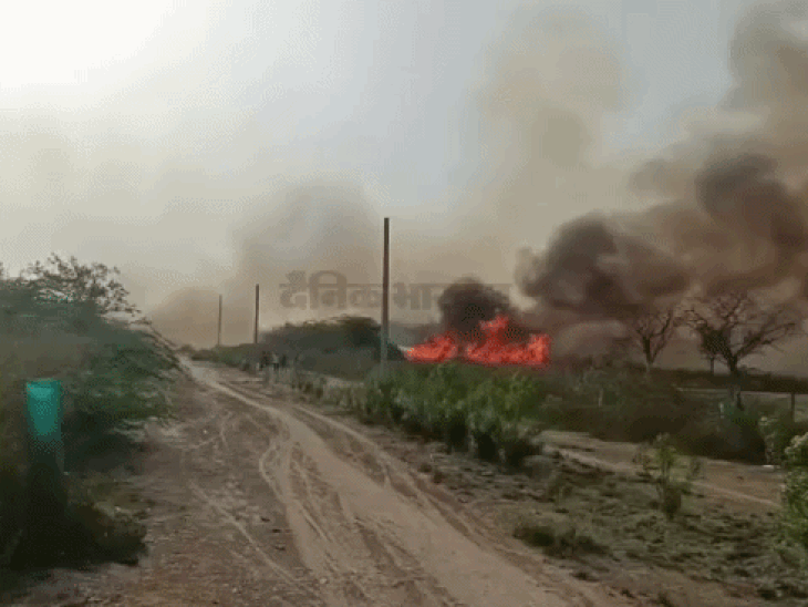 Vallabhnagar Fire | Kali Pahadi Blaze Burns 8 Bigha Trees, Road Jammed