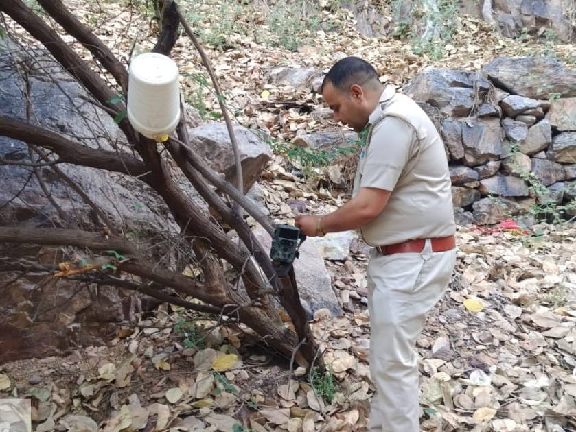 Samod Forest Wildlife Census Begins; 24-Hour Monitoring