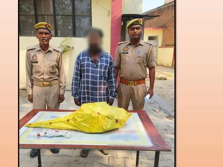 Bilaspur Forest Mafia Arrested | Illegal Logging Bust, Guns Seized