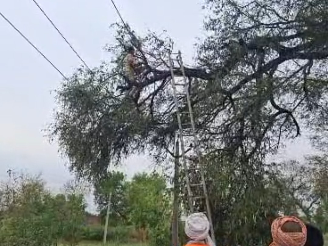 Tulsipur Bijli Sankat | Paani Crisis Deepens After Toofan