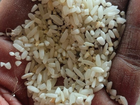 Burhanpur Ration Rice Worms Controversy | Food Officer Statement