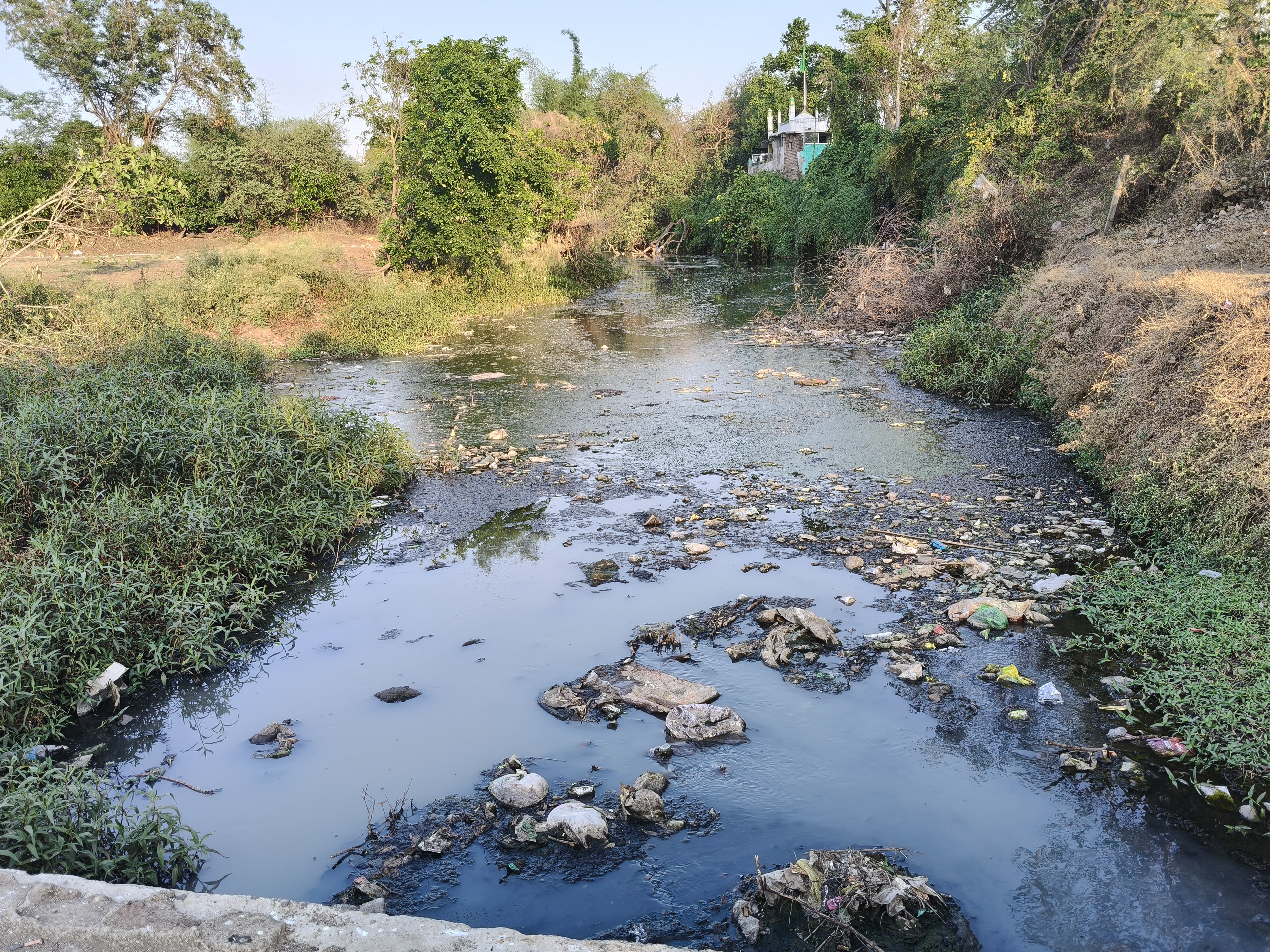 Harda Rivers Sewage Pollution | Narmada Affected; Jal Ganga Abhiyan Fails