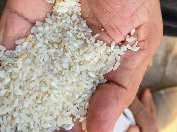 Burhanpur Ration Rice Worms Controversy | Food Officer Statement