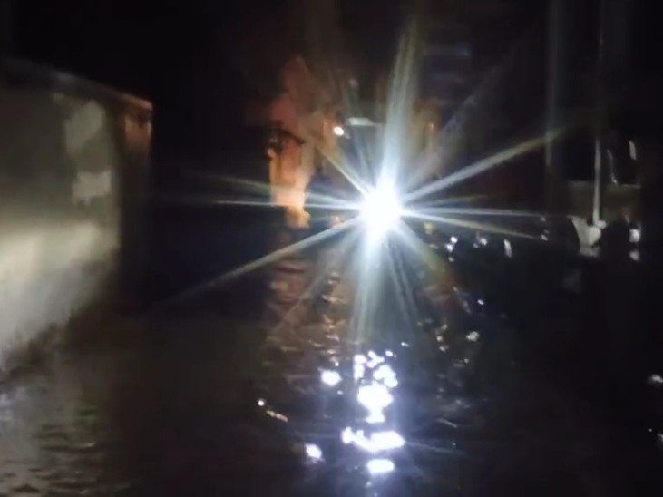 Samastipur Rain Waterlogging | Trees Fall After Heavy Showers