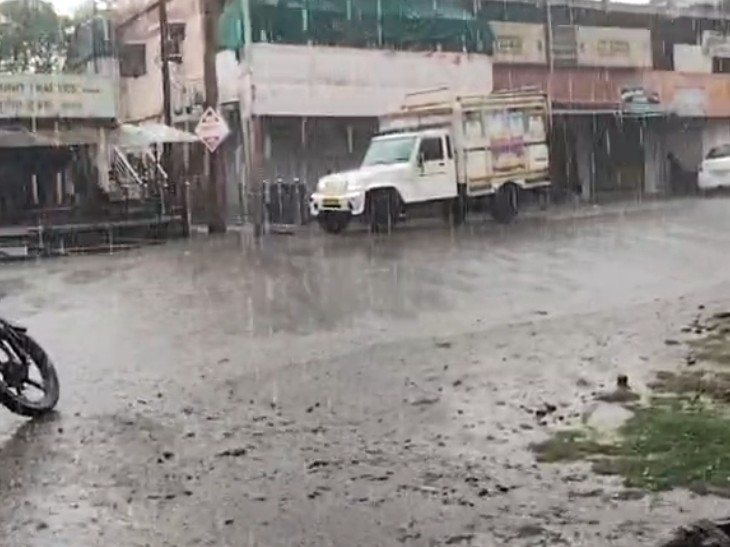 Seoni Heavy Rain | Tree Branch Fall Wheat Storage Concern