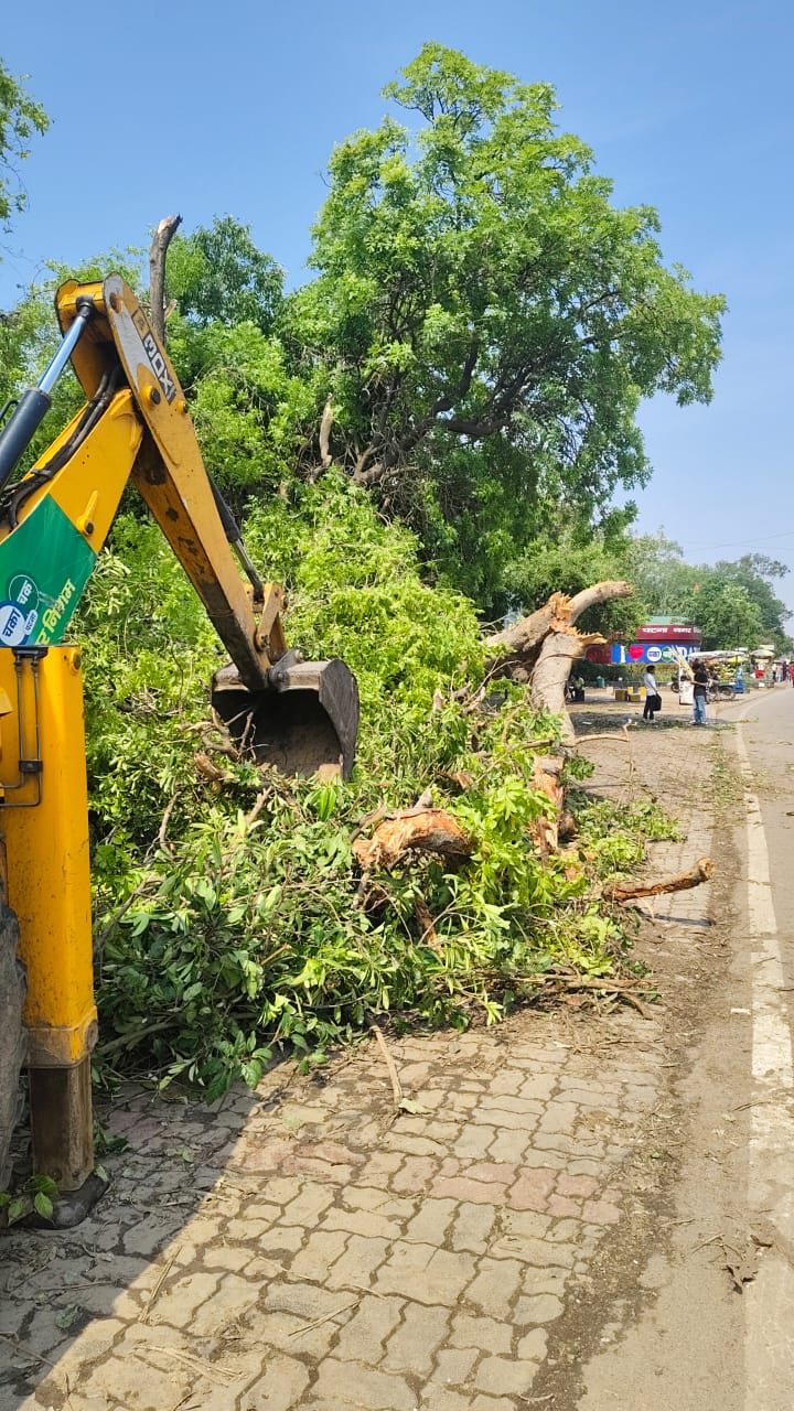 Patna Zoo Reopens Tuesday | Trees Fall Due to Rain