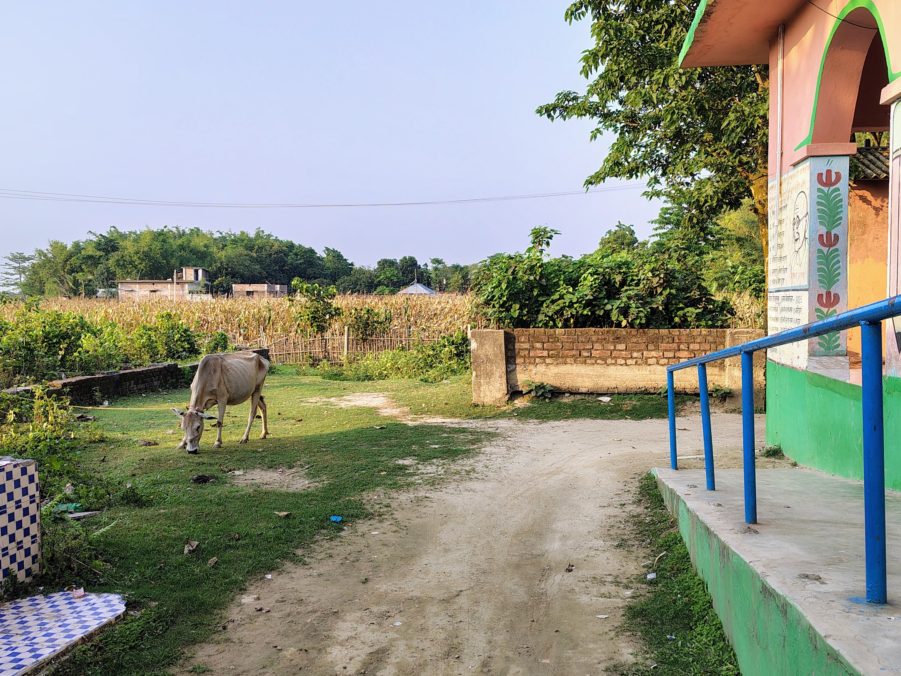 Katihar School Lacks Basic Facilities, Security Issues Affect Studies