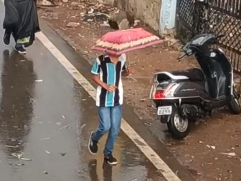 Seoni Heavy Rain | Tree Branch Fall Wheat Storage Concern