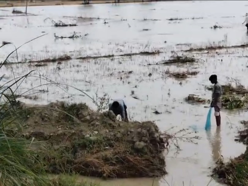 Kanpur Ramganga Canal Breach | Hundreds of Bigha Farmlands Submerged