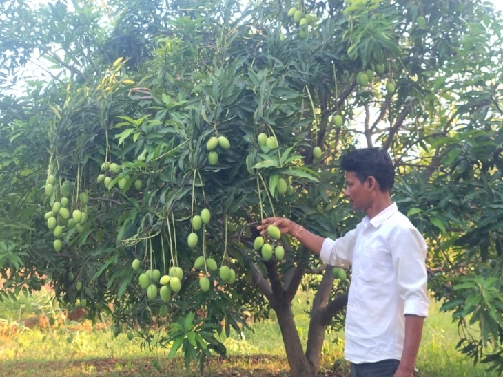 Korba Farmer Kanhaiya Banjare Multi-Layer Farming Boosts Income 10x