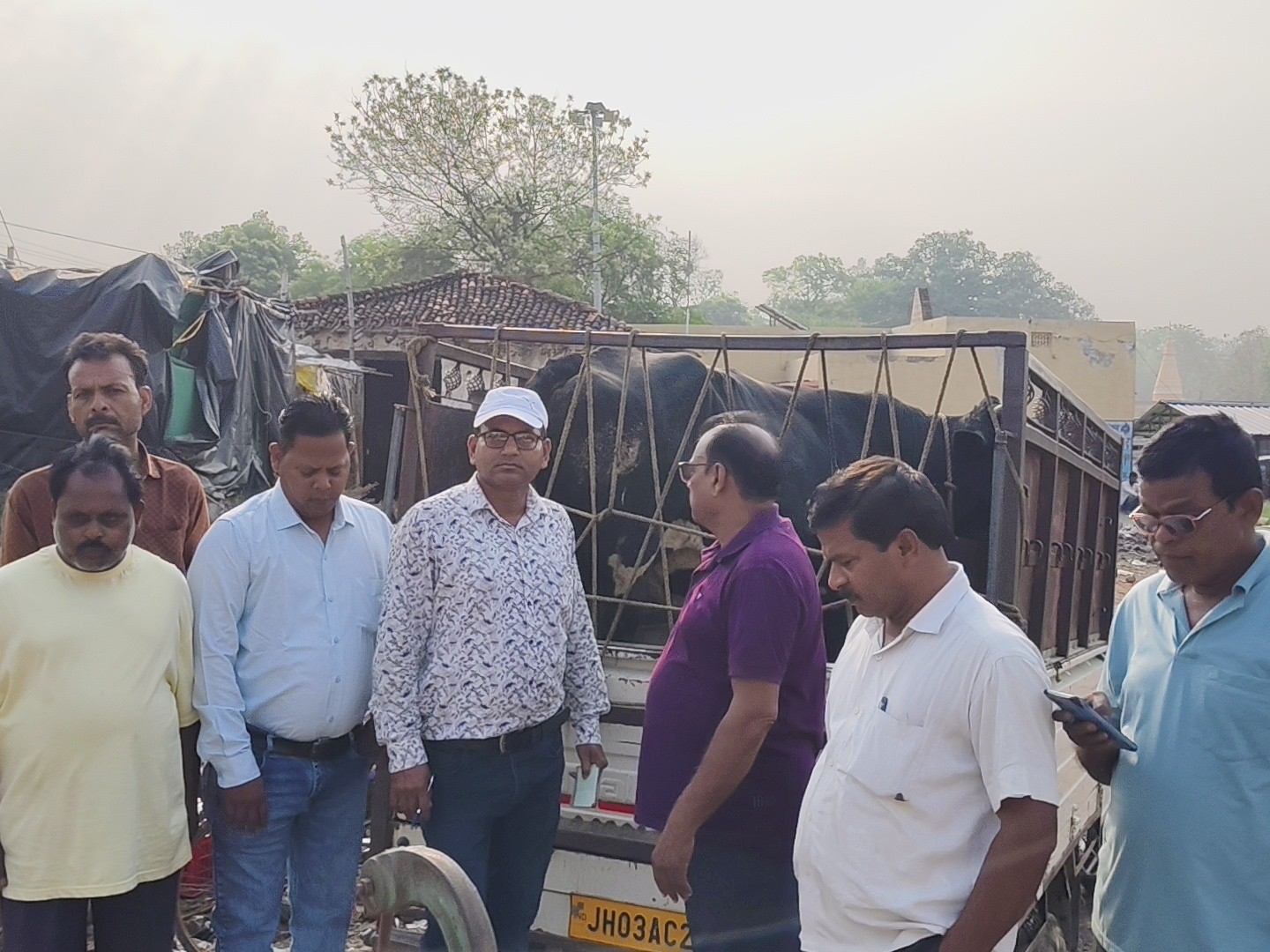 Butbehedwa Aggressive Bull Caught | Villagers Injured, Sent to Gau Shala