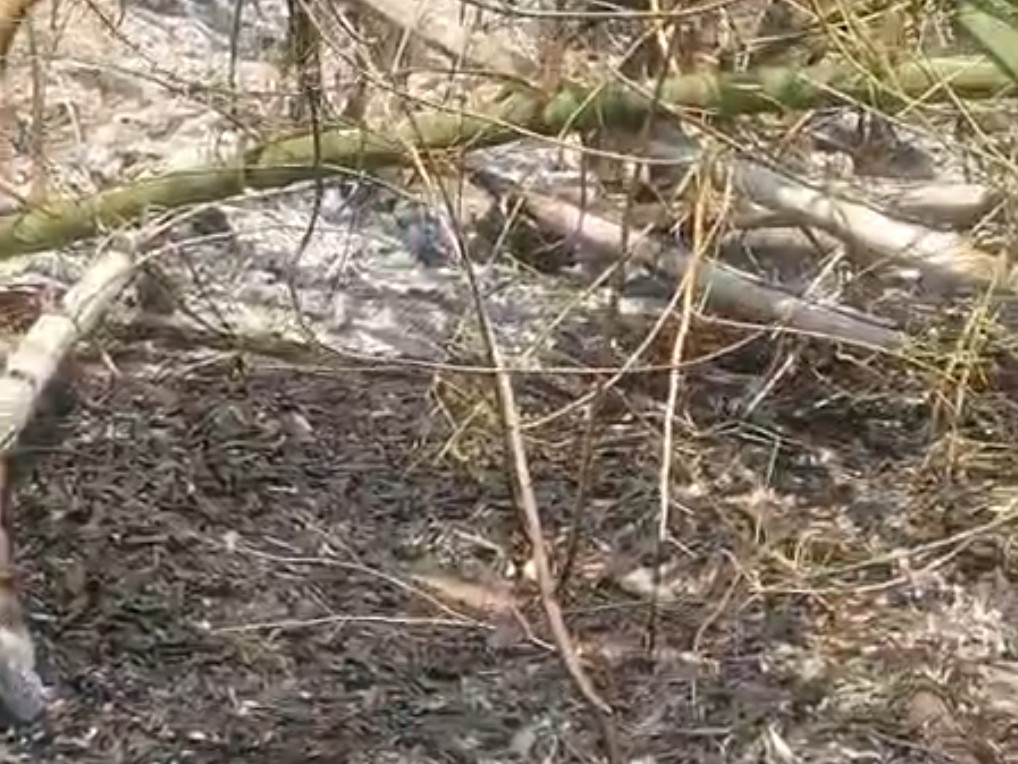 Sonbhadra Fire | Transformer Short Circuit Burns 300 Bamboos