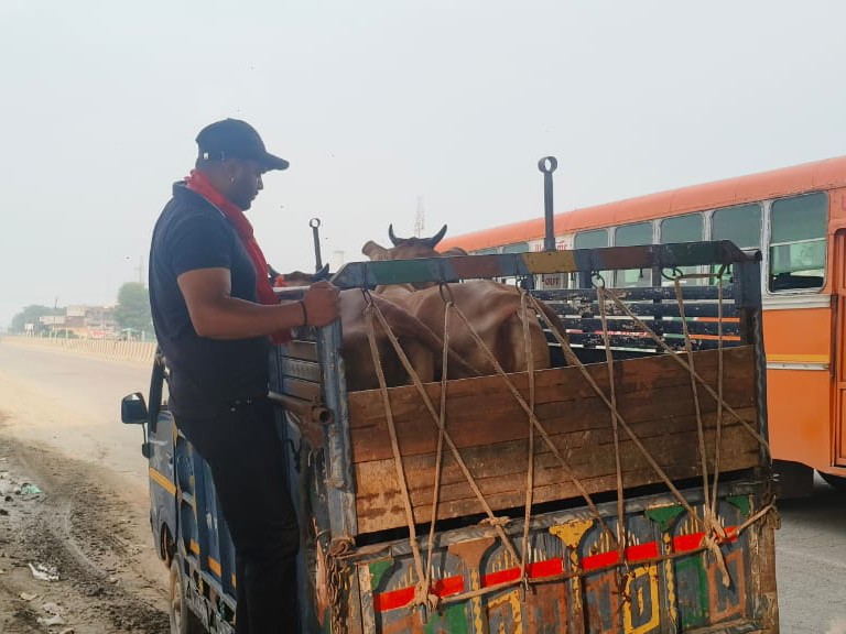 Thana Bhawan | Hindu Raksha Dal Cow Gau Shala Warning, Police Action