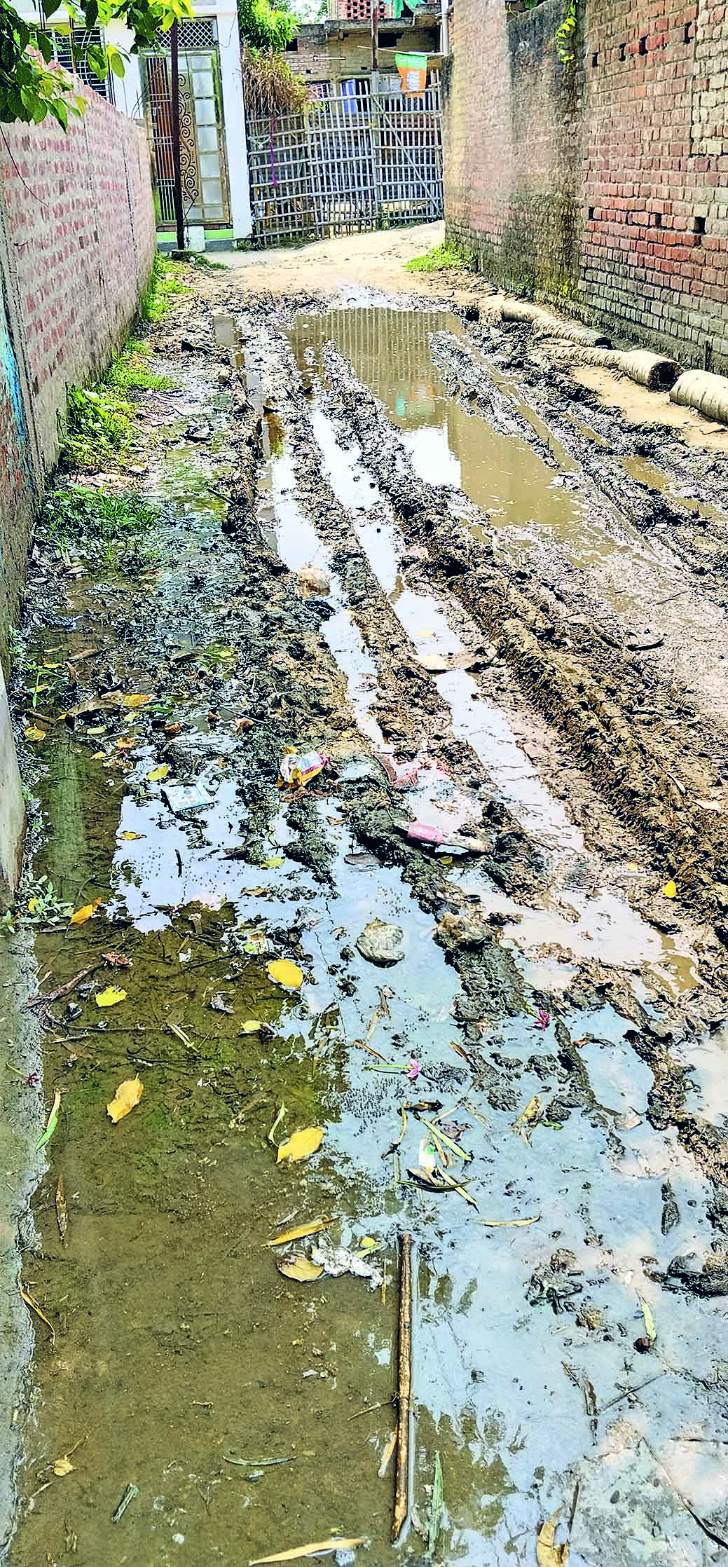 Existence in danger due to lack of maintenance