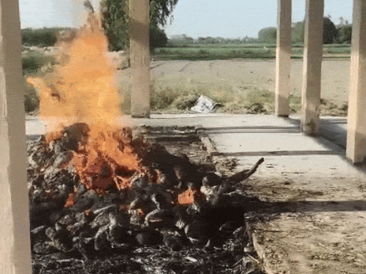 Gangoh Woman Death: Police Stop Funeral Pyre; Probe Begins