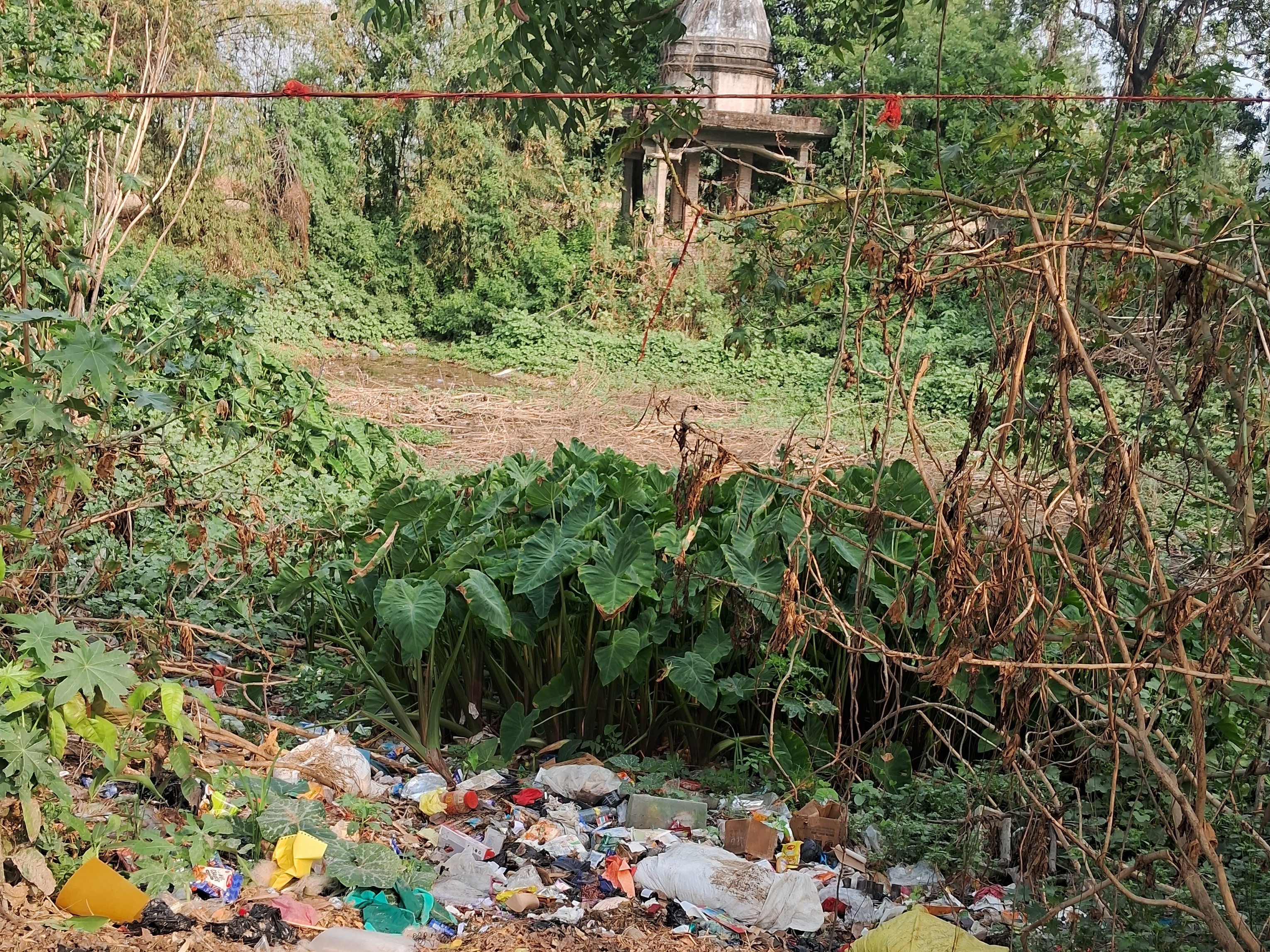 Ayodhya Masodha Talab Sadharan Sundarikaran Maang