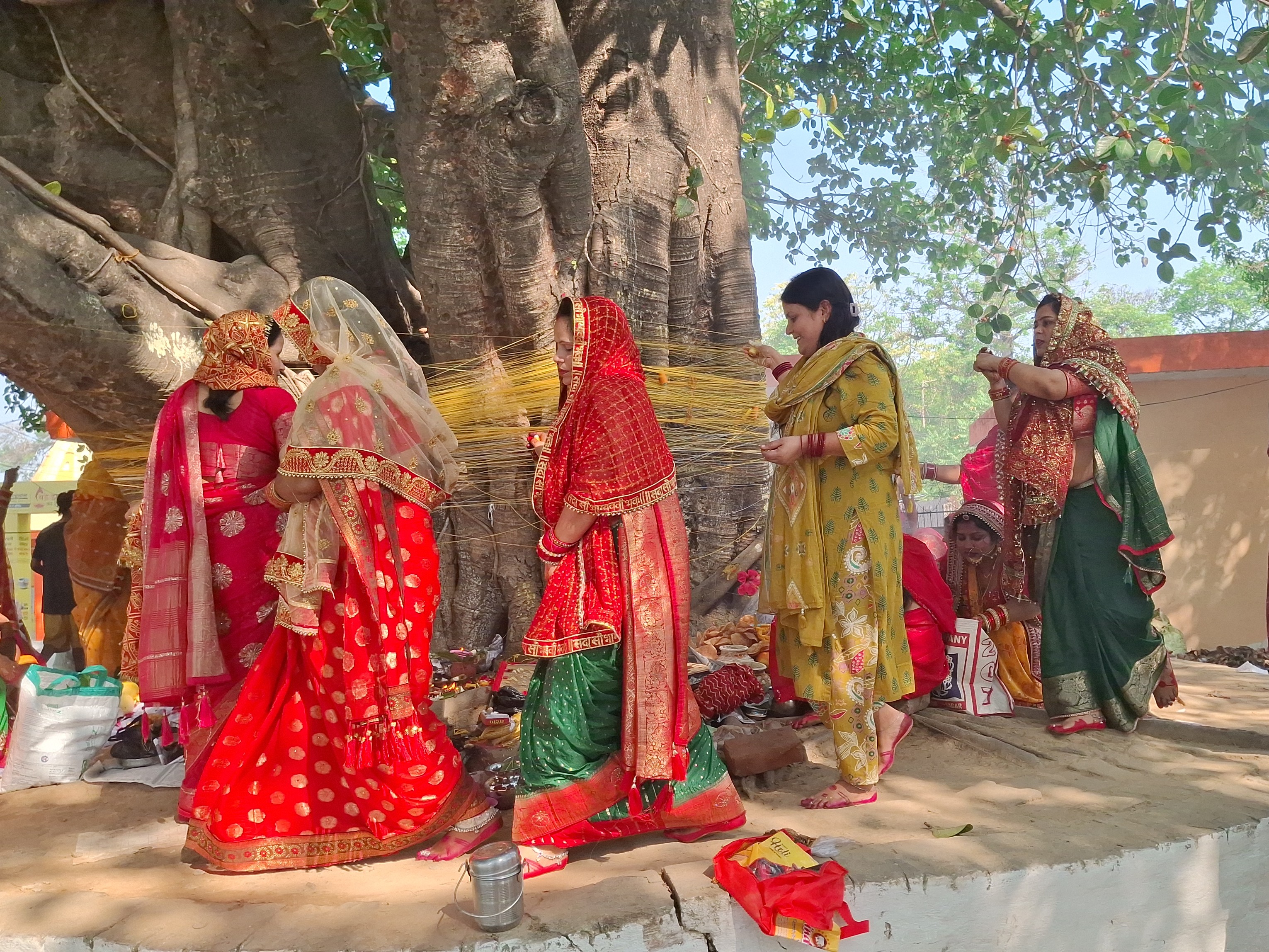 Fatehpur Vat Savithri Puja | Mahadev Talab Mandir Celebrates